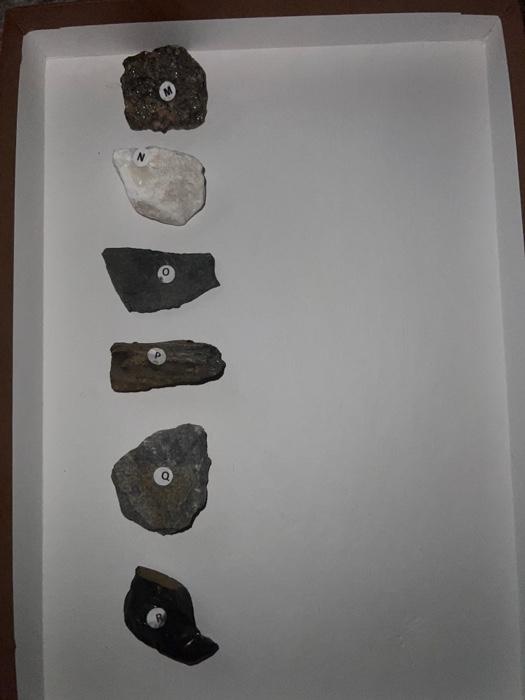 N1. A possible protolith for Sample M is: a. | Chegg.com