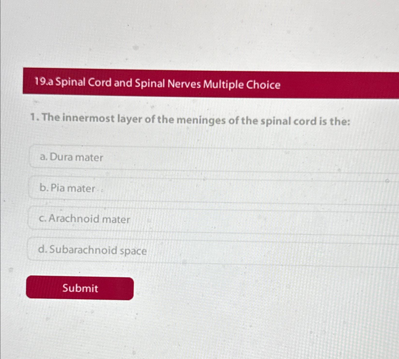 Solved 19.a Spinal Cord and Spinal Nerves Multiple ChoiceThe | Chegg.com