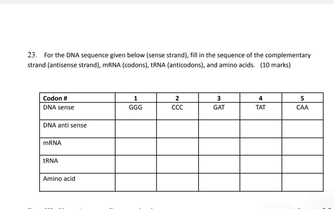 Solved 23. For the DNA sequence given below (sense strand), | Chegg.com