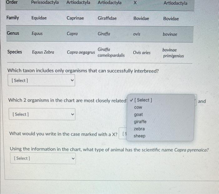 Solved Examine the table showing the classification of 4 | Chegg.com