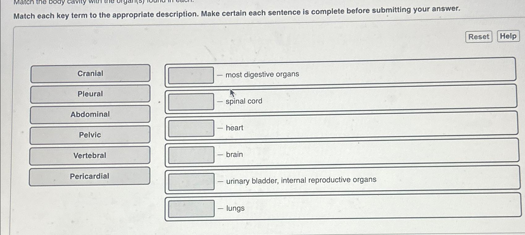Solved Match each key term to the appropriate description. | Chegg.com