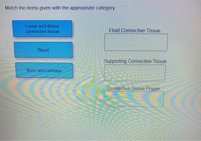 Solved Match the items given with the appropriate category. | Chegg.com