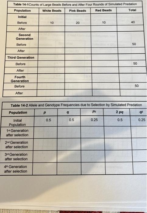 Solved Table 14-1 Counts of Large Beads Before and After | Chegg.com