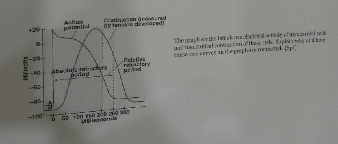 Solved The graph on the left shows electrical activity of | Chegg.com