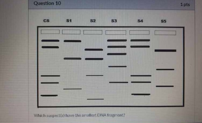 Solved Question 10 1 pts CS Si Which suspect(s) have the | Chegg.com