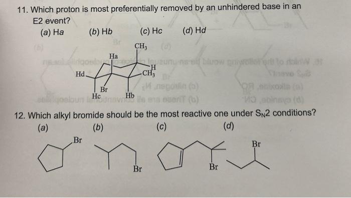 Solved 11. Which proton is most preferentially removed by an | Chegg.com