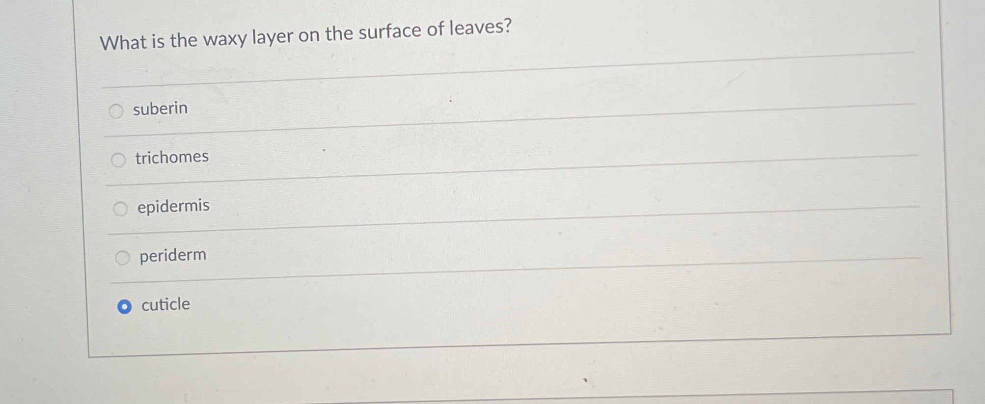 Solved What is the waxy layer on the surface of | Chegg.com