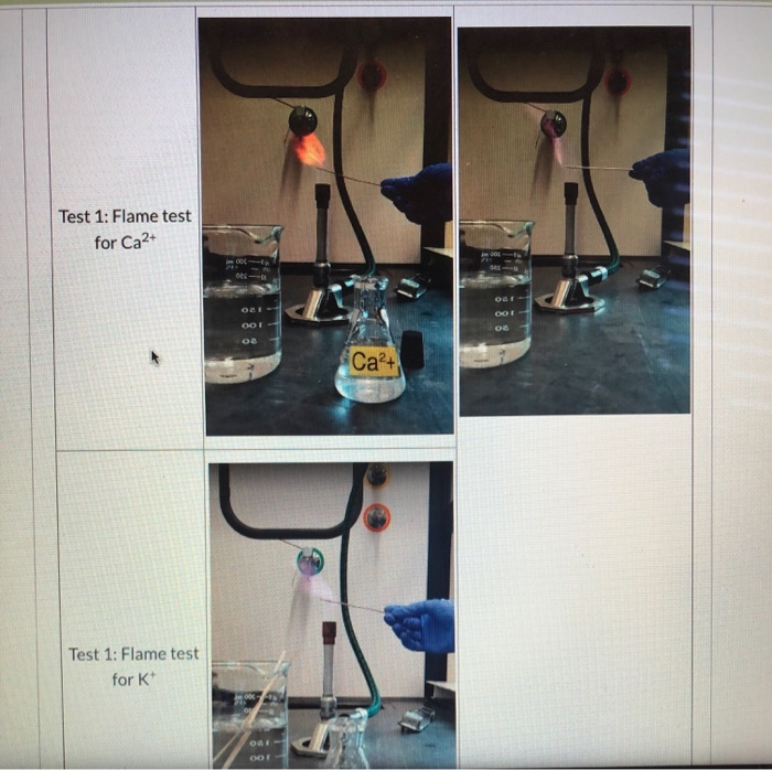Solved Cation Tests Cation tests Pictures of control cation | Chegg.com