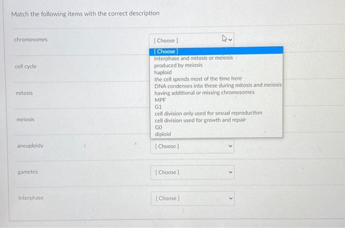 Match the following items with the correct | Chegg.com