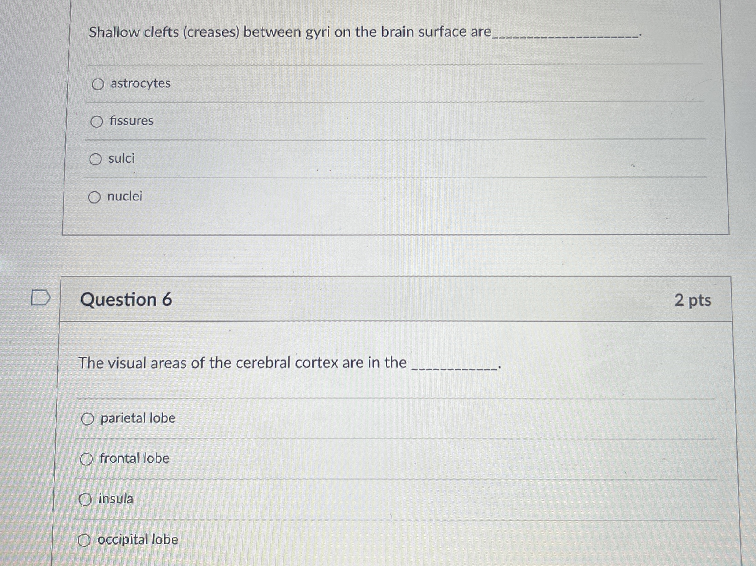 Solved Shallow clefts (creases) ﻿between gyri on the brain | Chegg.com