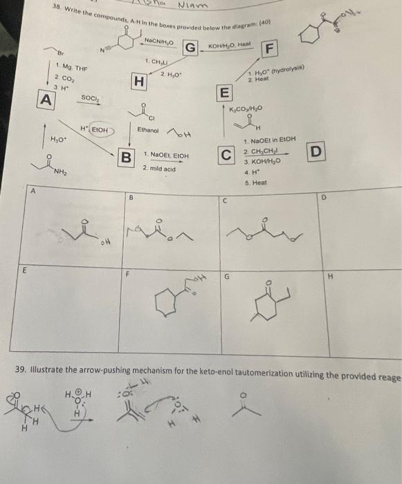 Solved 38. Write the compounds, A.H in the boxes provided | Chegg.com