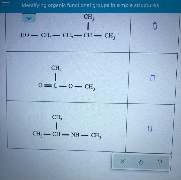 Solved molecule functional group CH, | O=C-N- CH3 amide CH | Chegg.com
