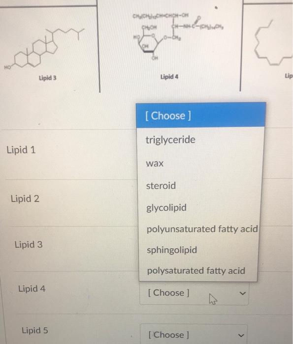Solved Identify the types of lipids shown in the following | Chegg.com