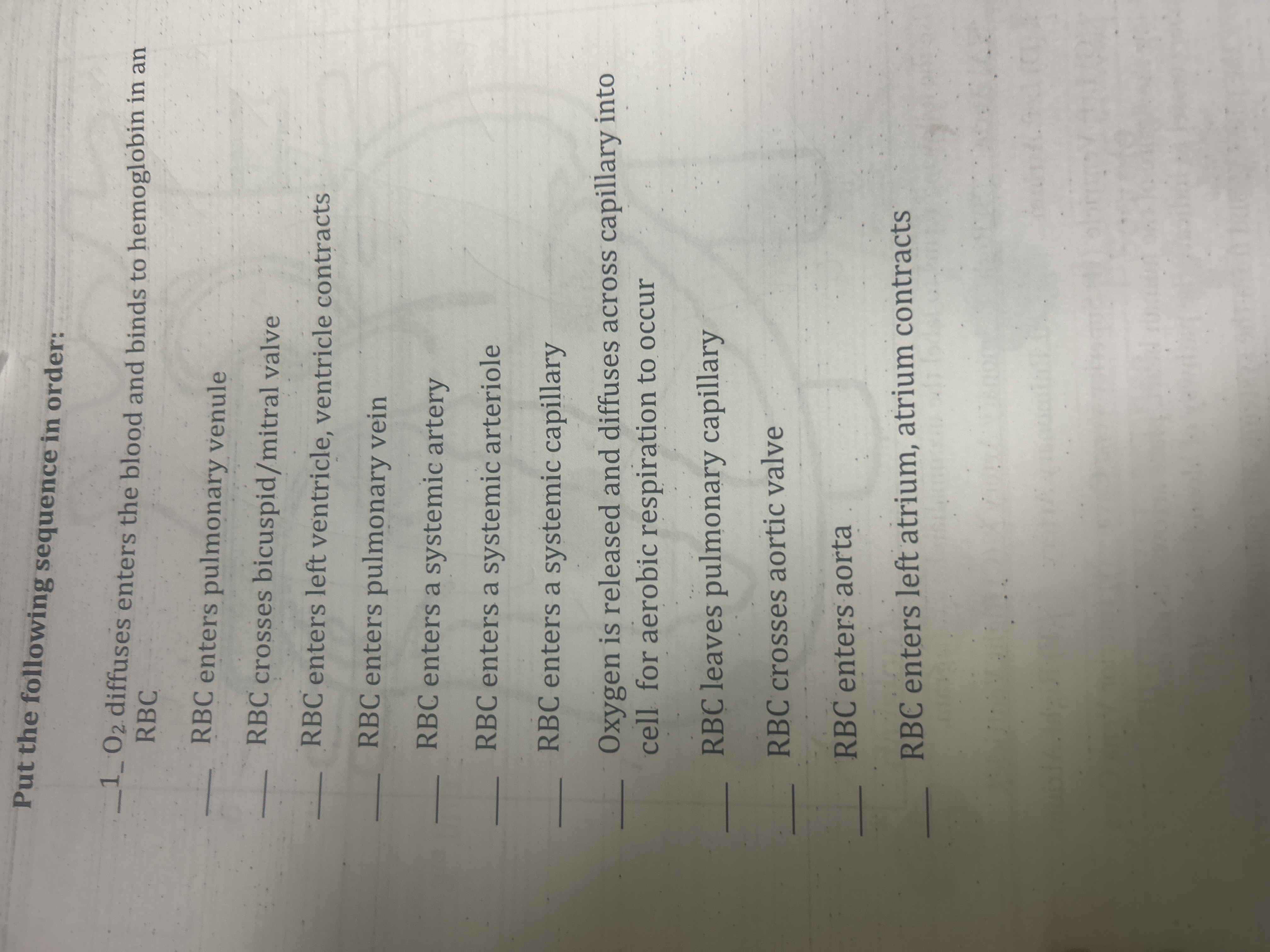 Solved Put the following sequence in order:1-O2 ﻿diffuses | Chegg.com