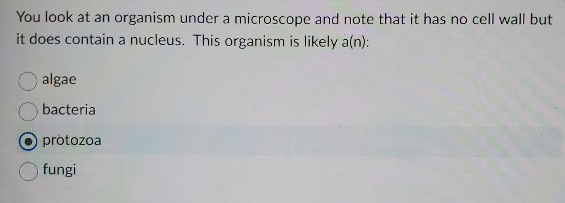 Solved You look at an organism under a microscope and note | Chegg.com