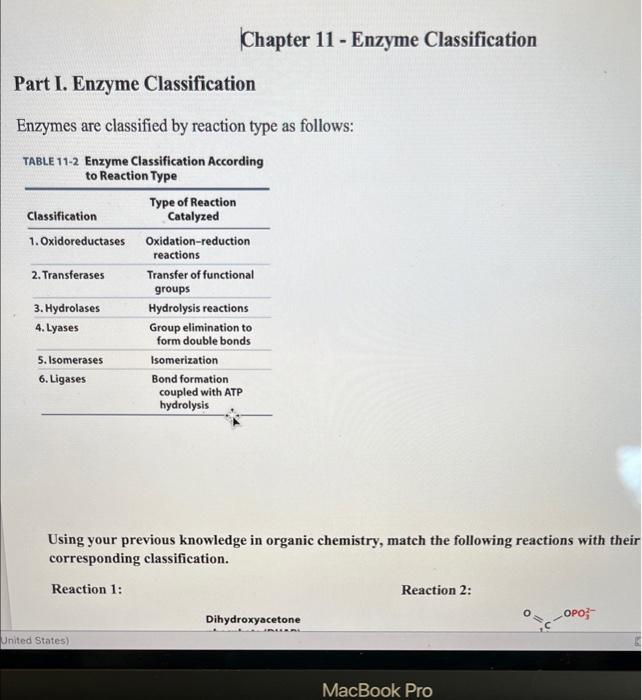 Solved Chapter 11 - Enzyme Classification Part I. Enzyme | Chegg.com