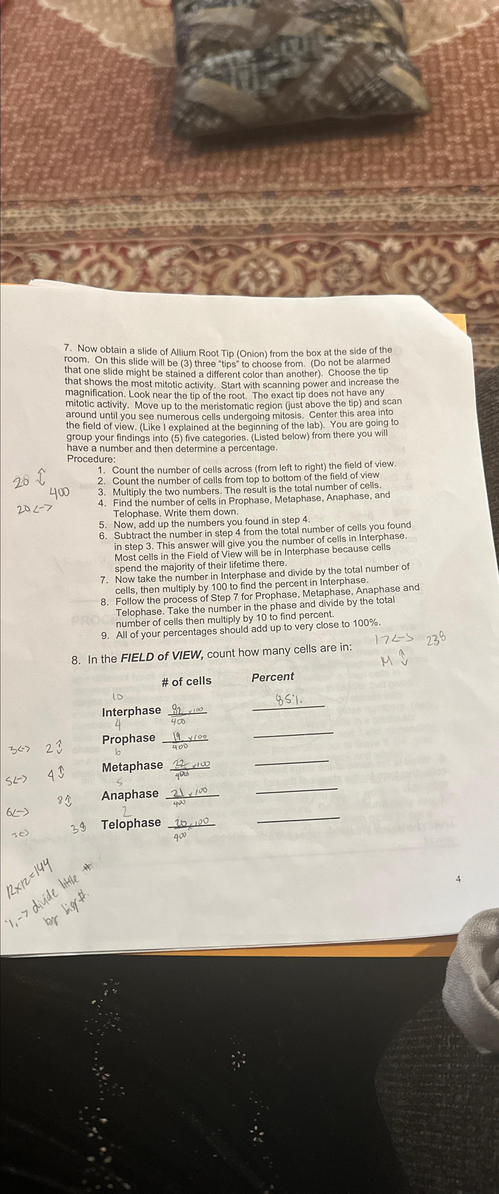 Solved Now obtain a slide of Allium Root Tip (Onion) ﻿from | Chegg.com