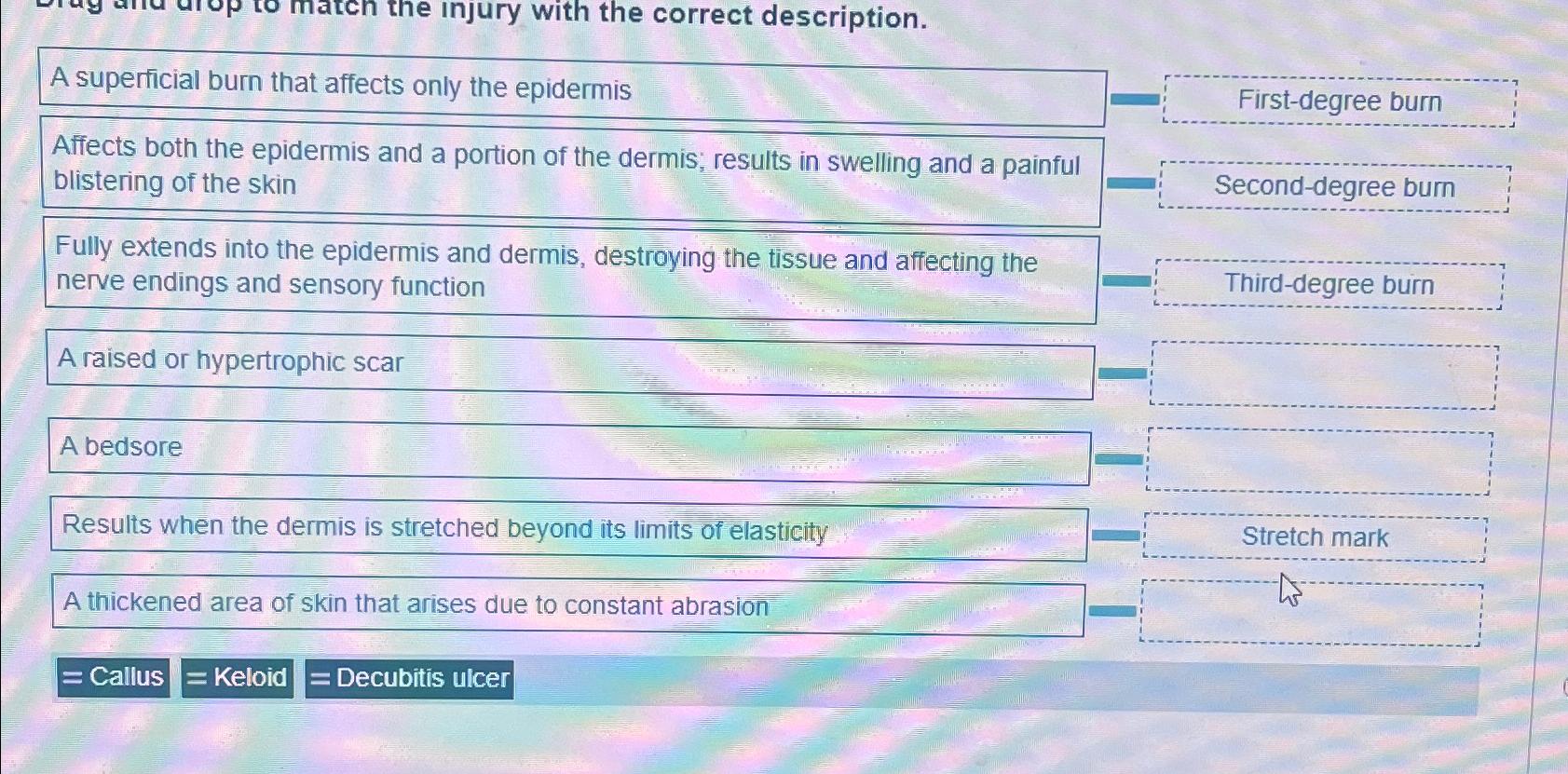 Solved A superficial burn that affects only the | Chegg.com