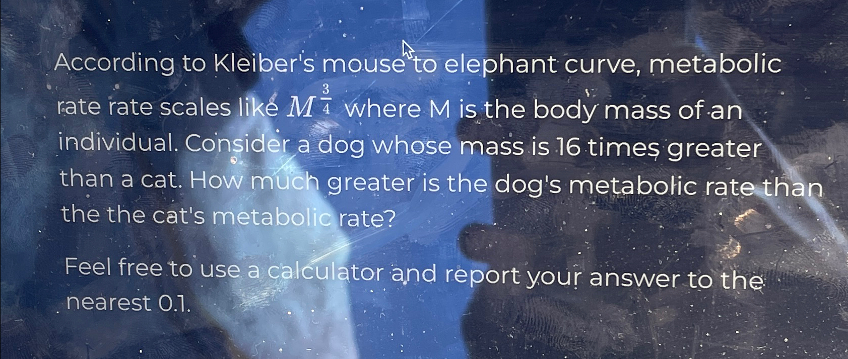Solved According to Kleiber's mouse to elephant curve, | Chegg.com