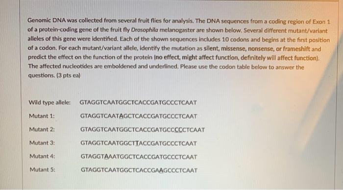Solved Genomic DNA was collected from several fruit flies | Chegg.com