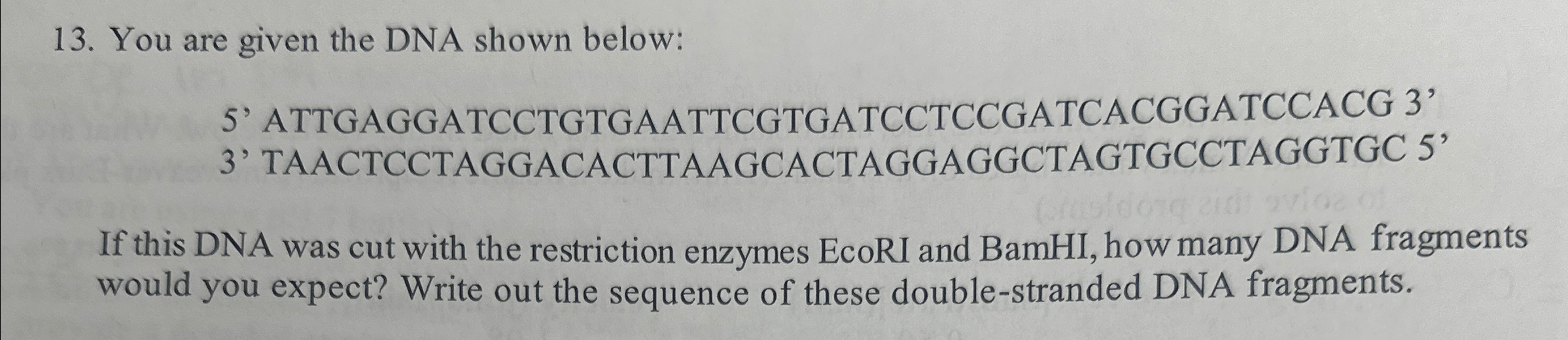 Solved You are given the DNA shown below:5' | Chegg.com