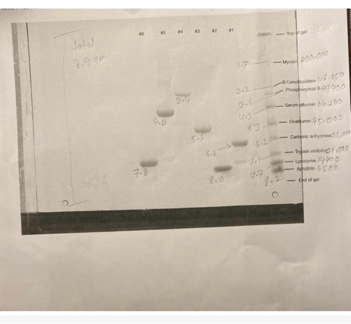 Solved plot the Log MW vs Rf of the standard, plot the trend | Chegg.com