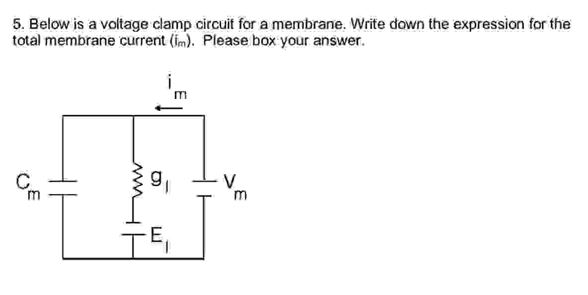 Solved Below is a voltage clamp circuit for a membrane. | Chegg.com