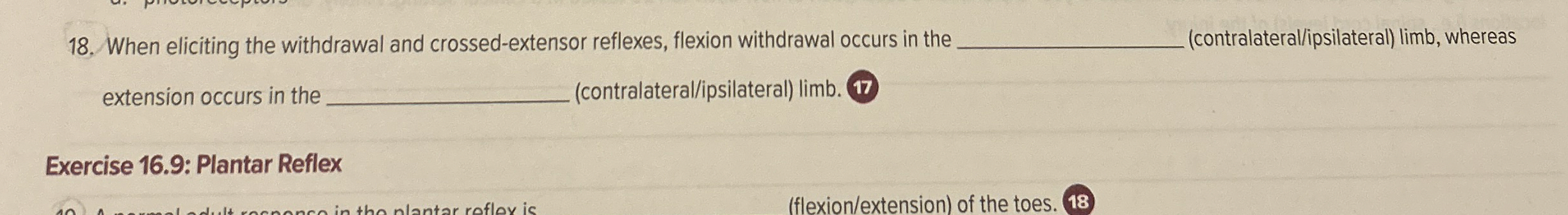 Solved When eliciting the withdrawal and crossed-extensor | Chegg.com
