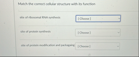 Solved Match the correct cellular structure with its | Chegg.com