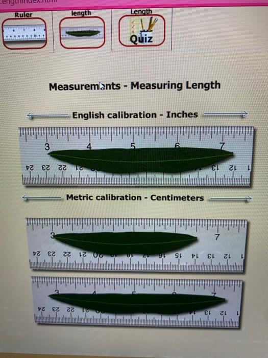 Solved Name: Date: 3. Measurements A. Measuring length 1. | Chegg.com