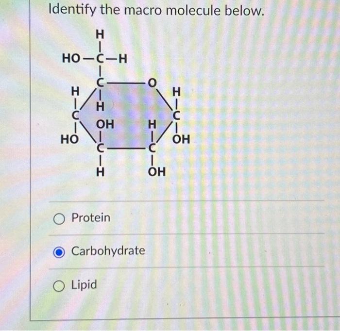 Solved Identify the macro molecule below. Protein | Chegg.com