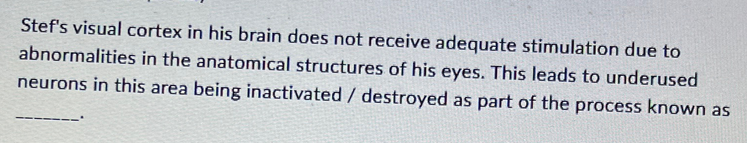 Solved Stef's visual cortex in his brain does not receive | Chegg.com
