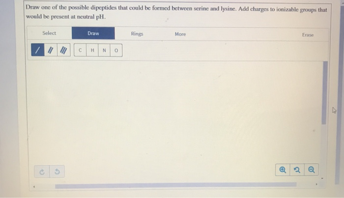 Solved Draw one of the possible dipeptides that could be | Chegg.com