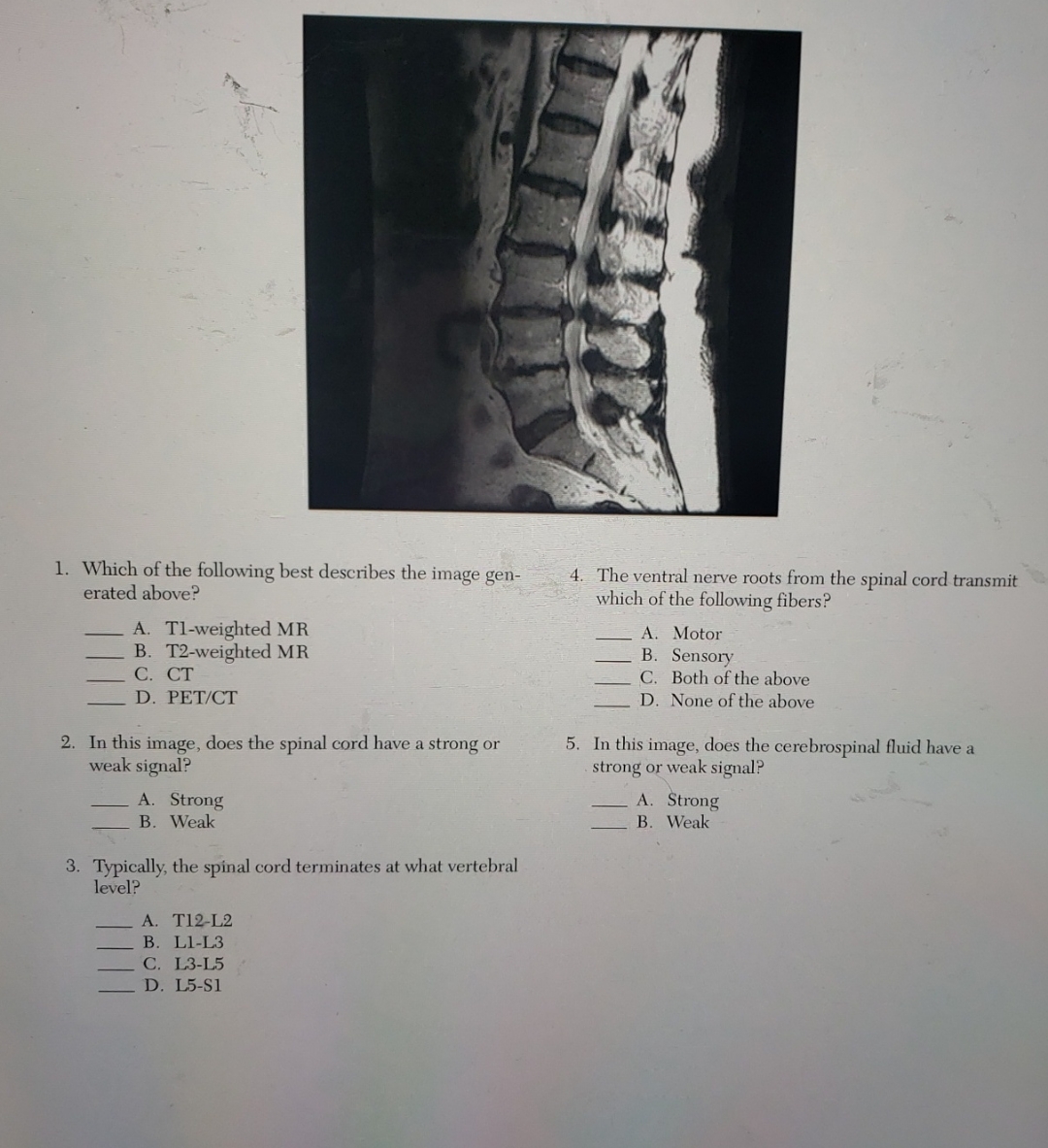 Solved Which of the following best describes the image | Chegg.com