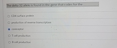 Solved The delta 32 ﻿allele is found in the gene that codes | Chegg.com