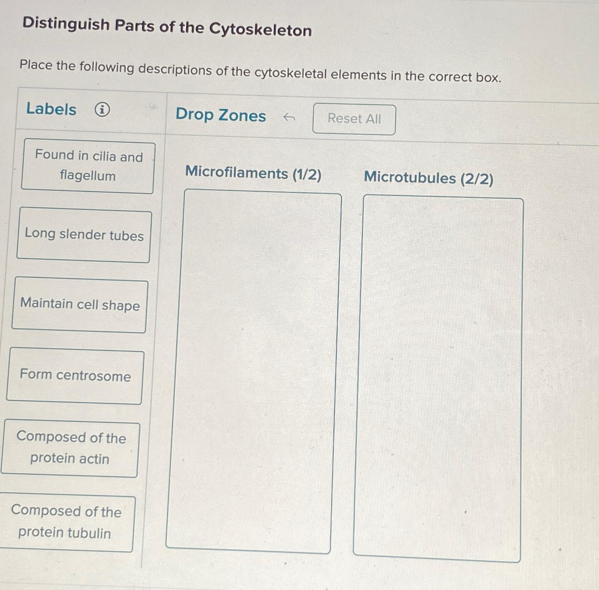 Solved Distinguish Parts Of The Cytoskeletonplace The
