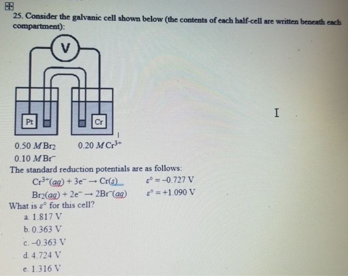 30. Consider the galvanic cell shown below (the | Chegg.com