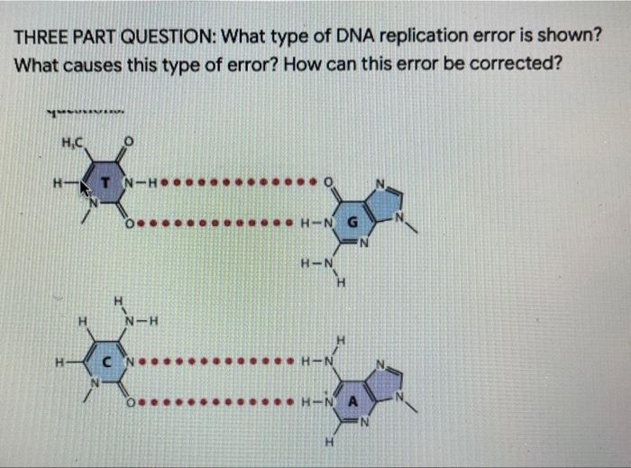 Solved THREE PART QUESTION: What type of DNA replication | Chegg.com
