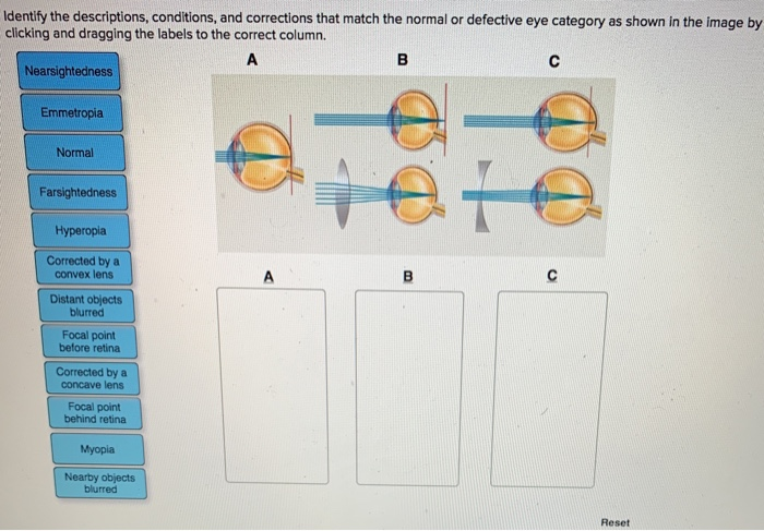 Solved Identify the descriptions, conditions, and | Chegg.com