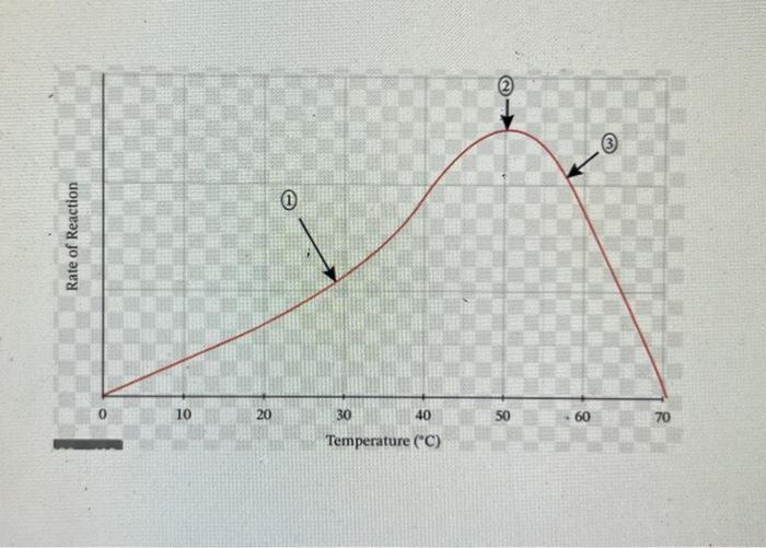 Solved 1. the reaction is labelled "rate if reaction". what | Chegg.com