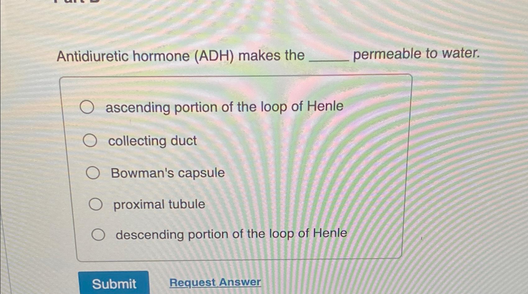 Solved Antidiuretic hormone (ADH) ﻿makes the permeable to | Chegg.com