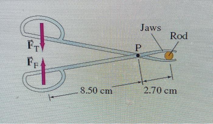 Solved A pair of forceps used to hold a thin plastic rod | Chegg.com