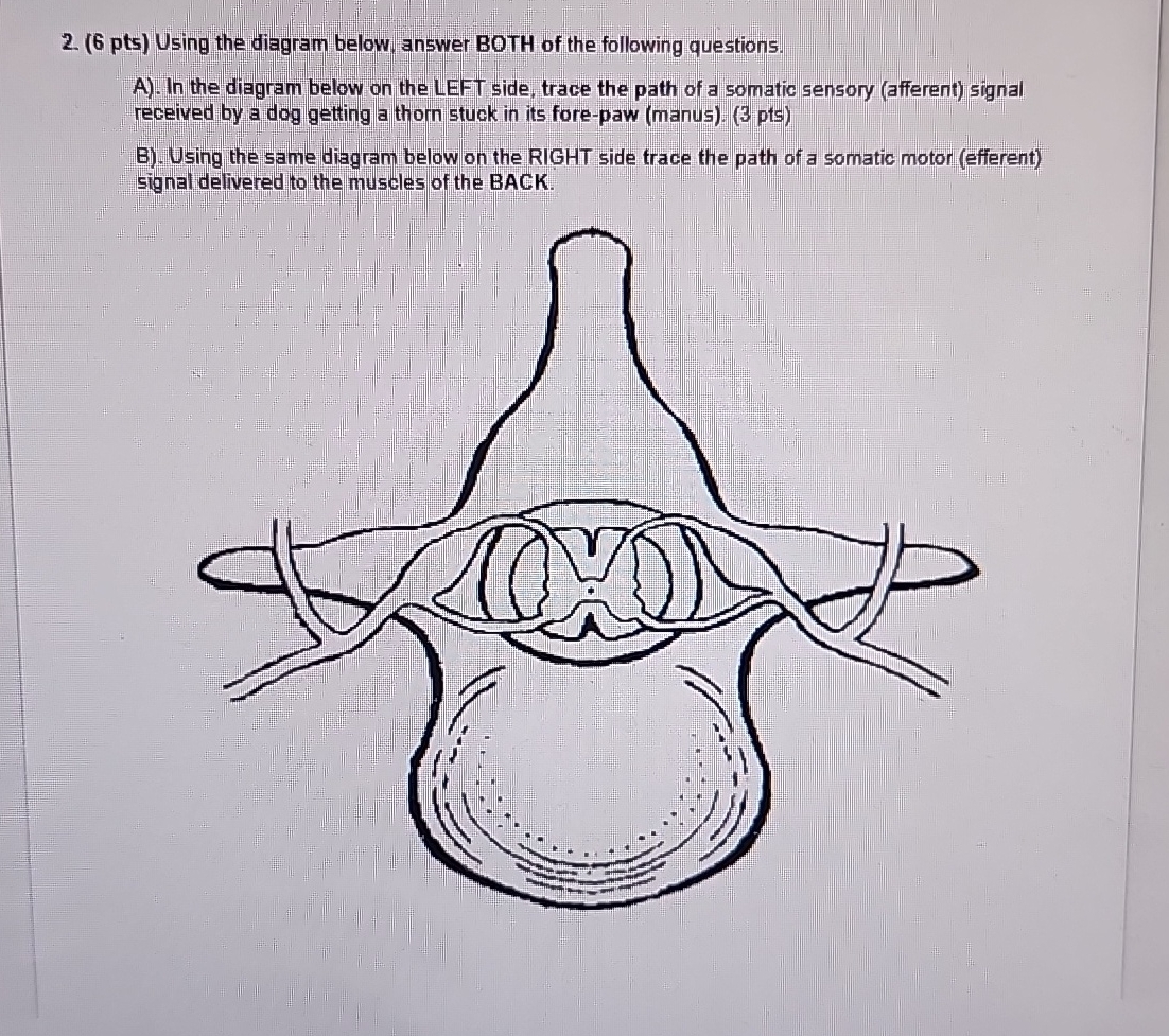 Solved (6 pts) Using the diagram below, answer BOTH of the | Chegg.com Solved (6 pts) Using the diagram below, answer BOTH of the | Chegg.com