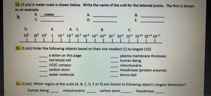 Solved 2a. (3 pts) A meter scale is shown below. Write the | Chegg.com