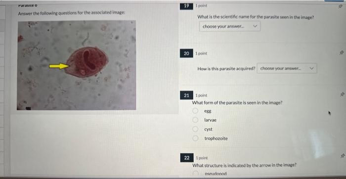 Solved What is the scientific name for the parasite seen in | Chegg.com