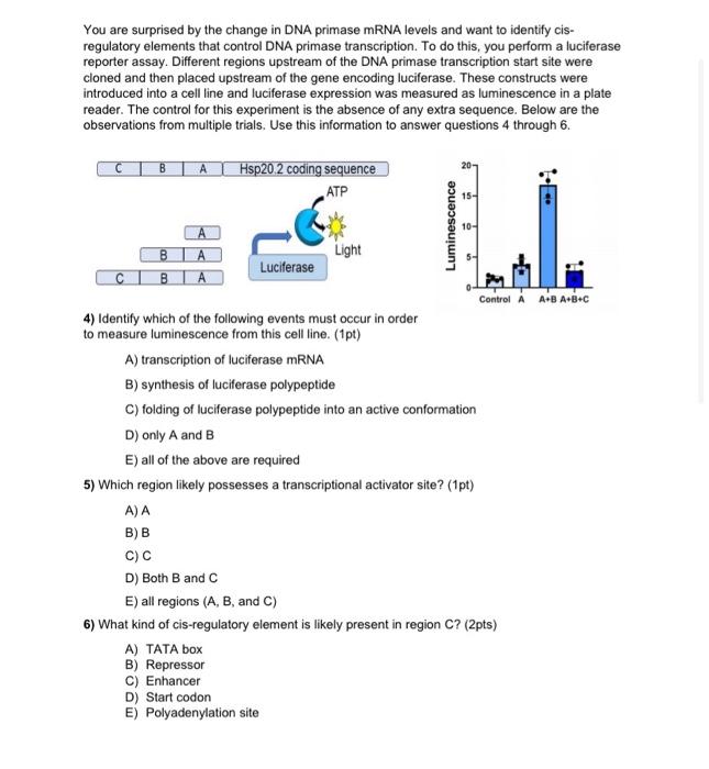 Solved You are surprised by the change in DNA primase mRNA | Chegg.com