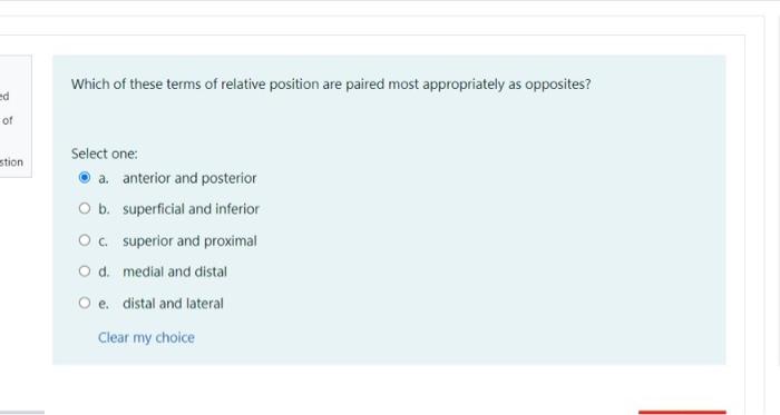 Solved Which of these terms of relative position are paired | Chegg.com