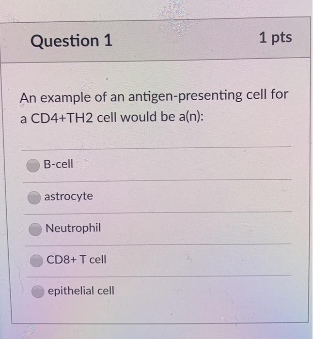 Solved Question 1 1 pts An example of an antigen-presenting | Chegg.com