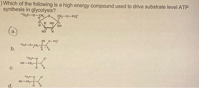 Solved Which of the following is a high energy compound used | Chegg.com