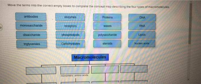 Macromolecules Concept Map